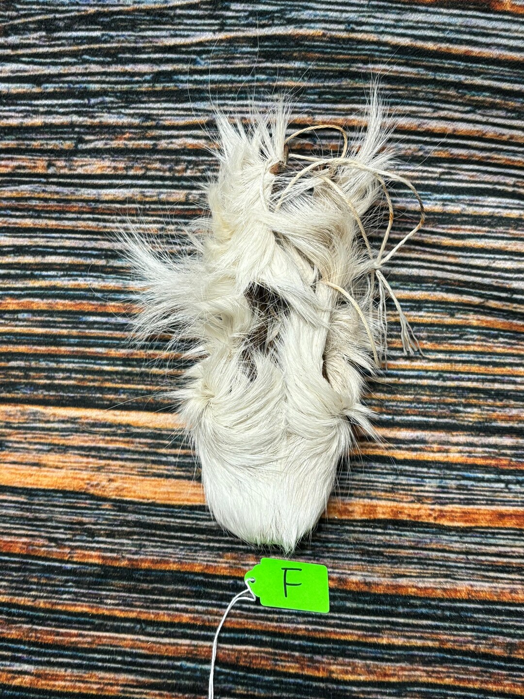 Whitetail Deer Scrotum Real Bison Ball Bag Oddity Nutsack Gag Gift ...