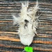 Whitetail Deer Scrotum Real Bison Ball Bag Oddity Nutsack Gag Gift ...