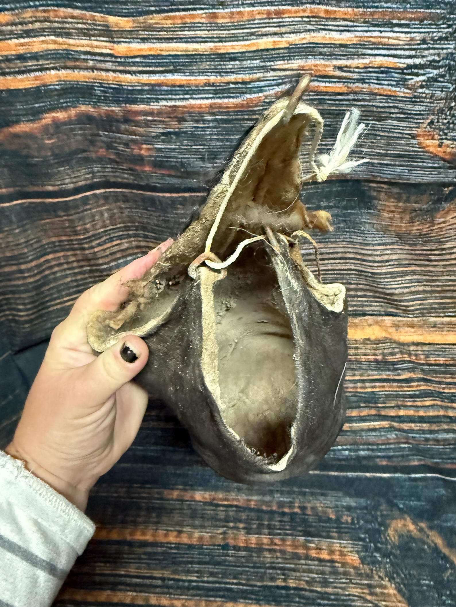 XXXL BULL Scrotum Oddities HUGE Ball Bag Unique Gift Odd Nut Sack Black ...