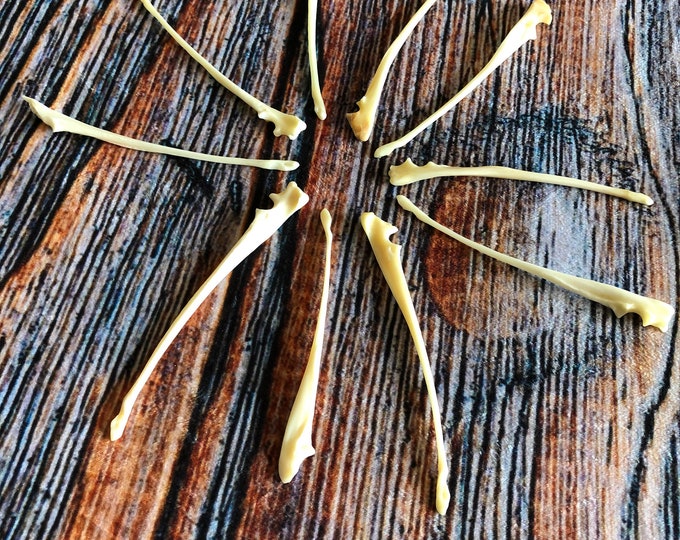 10 Real Red Fox Leg Bones Art Craft Supply Jewelry Earring - Etsy