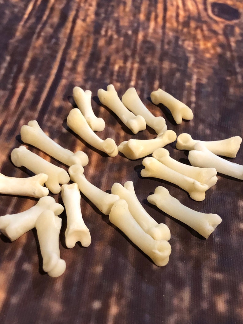 20 Real Coyote Toe Bone Mountain Man Craft Art Supplies - Etsy