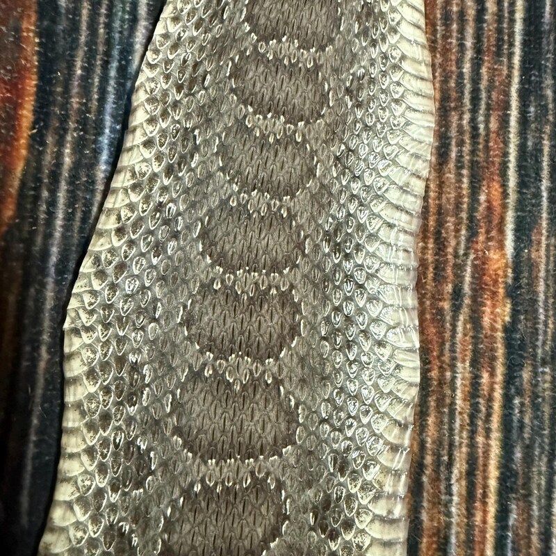 Rattlesnake Skin - Etsy