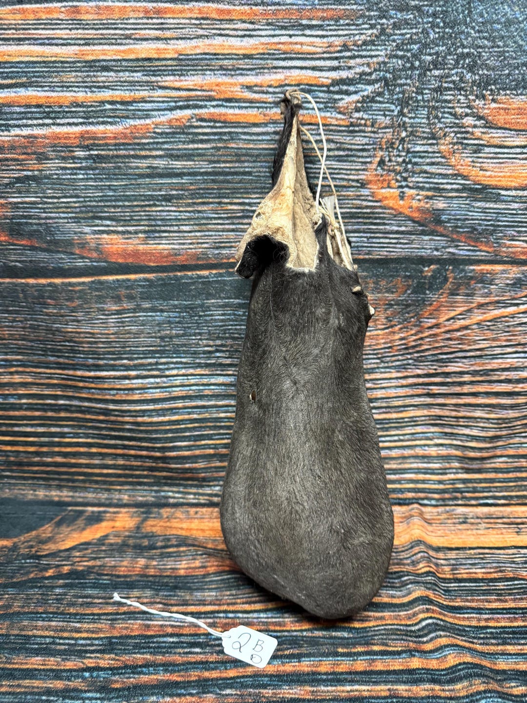 XXXL BULL Scrotum Oddities HUGE Ball Bag Unique Gift Odd Nut Sack Black ...