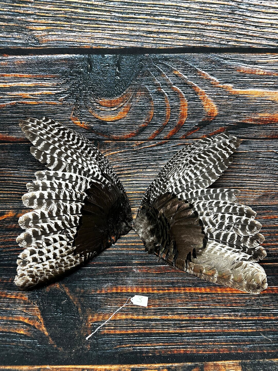 2 Wild Turkey Wings Feathers Plume Millinery Art Fan Bustle Fly Tying ...