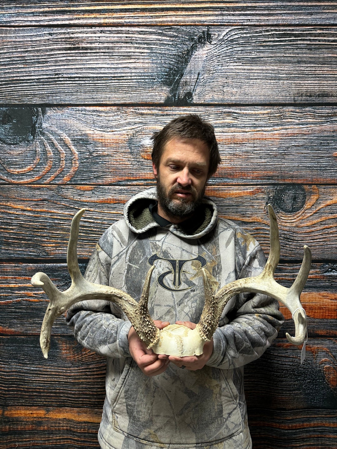 Trophy Wild 9 Point Whitetail Deer Rack Antler Mount Horn Head Unique ...