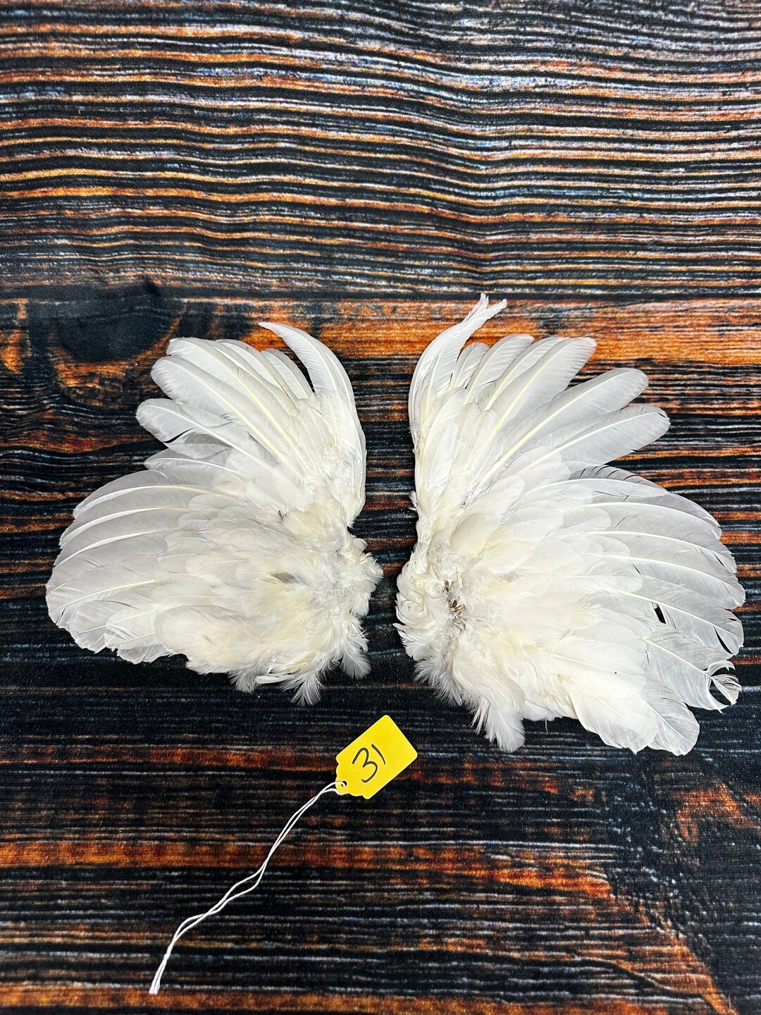 2 Chicken Wings Feathers Plume Millinery Art Fan Bustle Fly Fishing ...