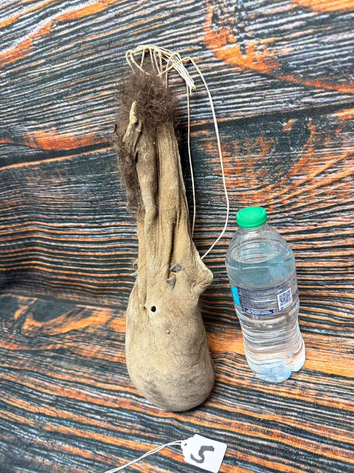 Buffalo Scrotum Real Bison Ball Bag Oddity Nutsack Gag Gift Winter Bag ...