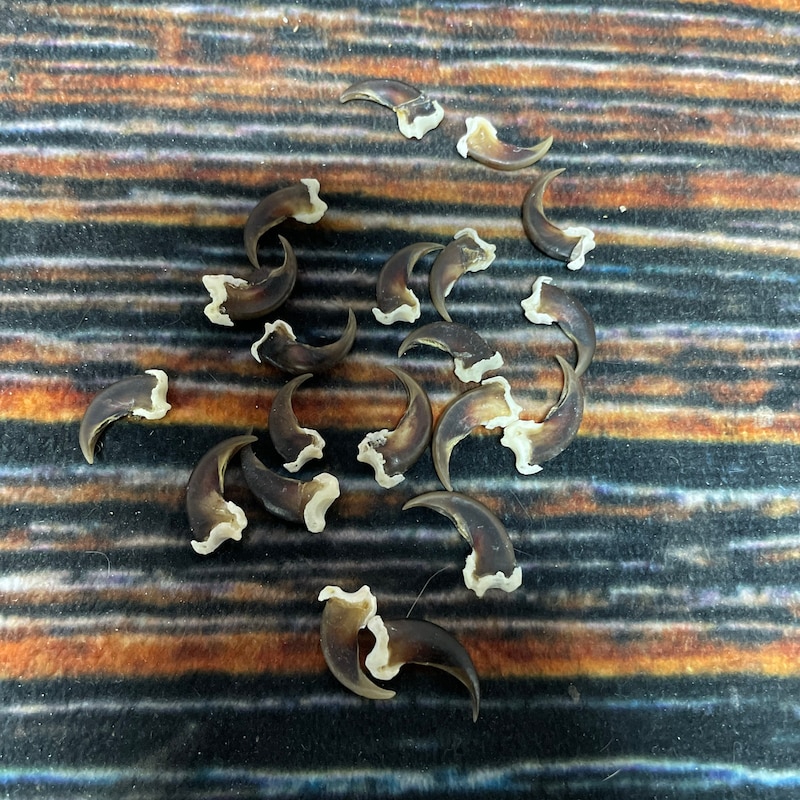 Glass Art Animal Beads - Etsy