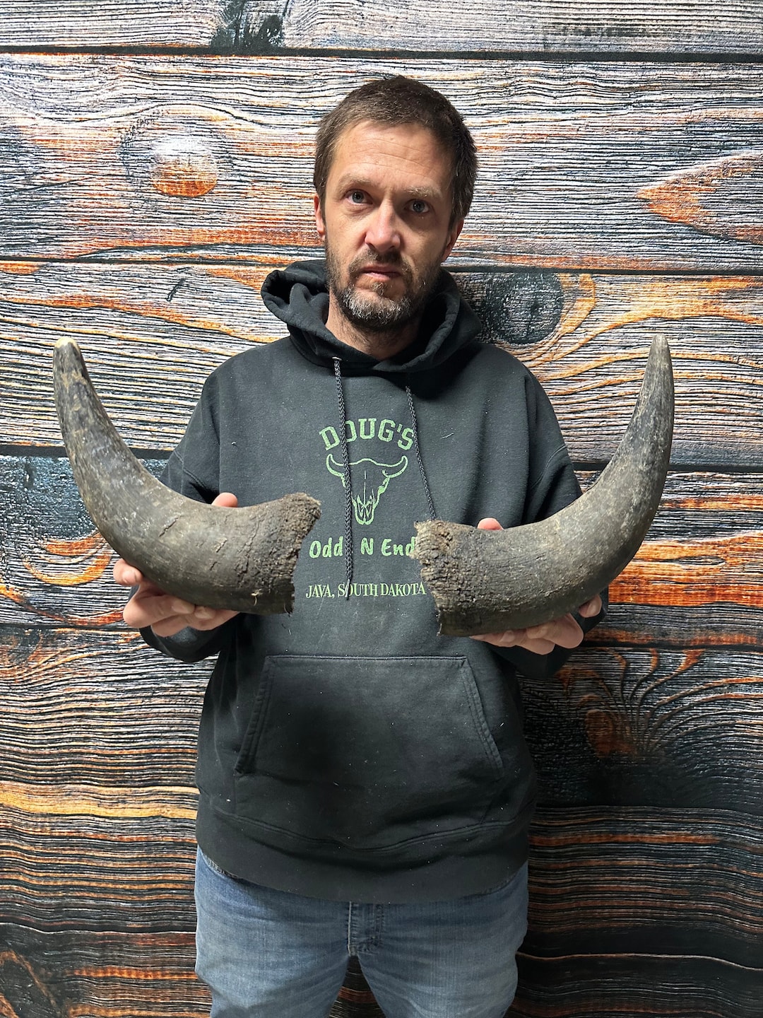 Real American Bison Buffalo Horns Western Yard Decor Art Craft Supplies ...
