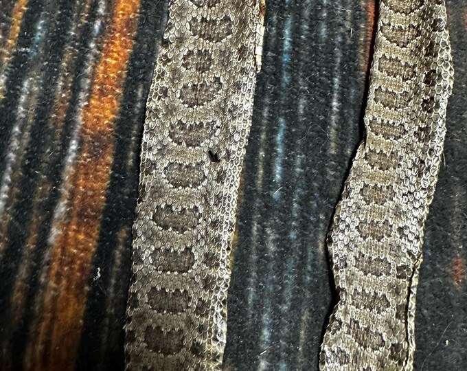 Two Real Baby Rattlesnake Skins Prairie Rattler Hide Soft Tanned Bow ...