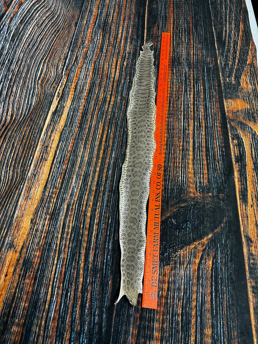 REAL Rattlesnake Skin Prairie Rattler Hide Dry Tanned Bow Wrap Blank ...