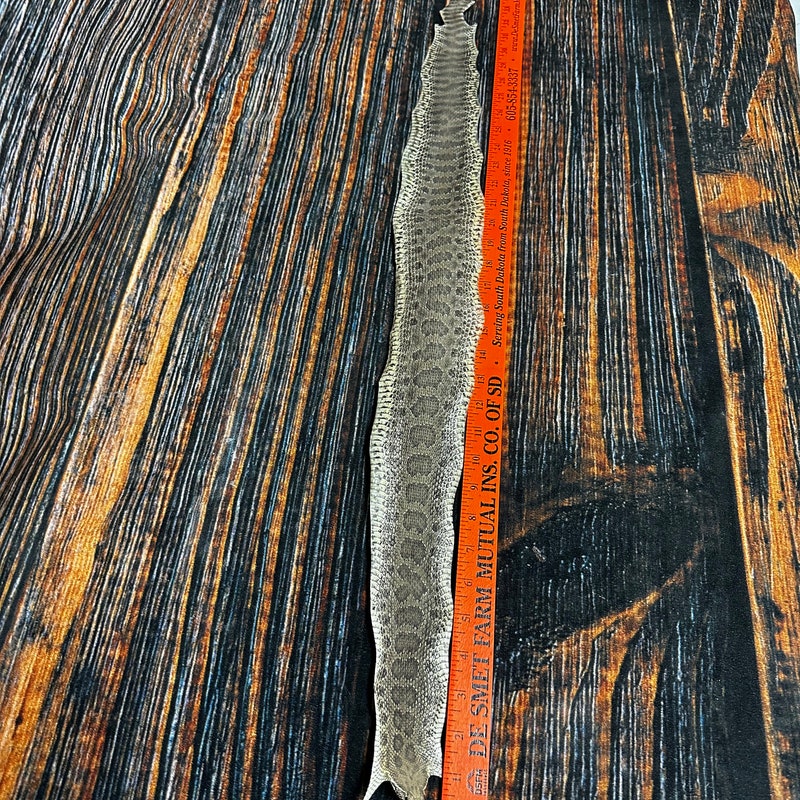 Rattlesnake Skin - Etsy