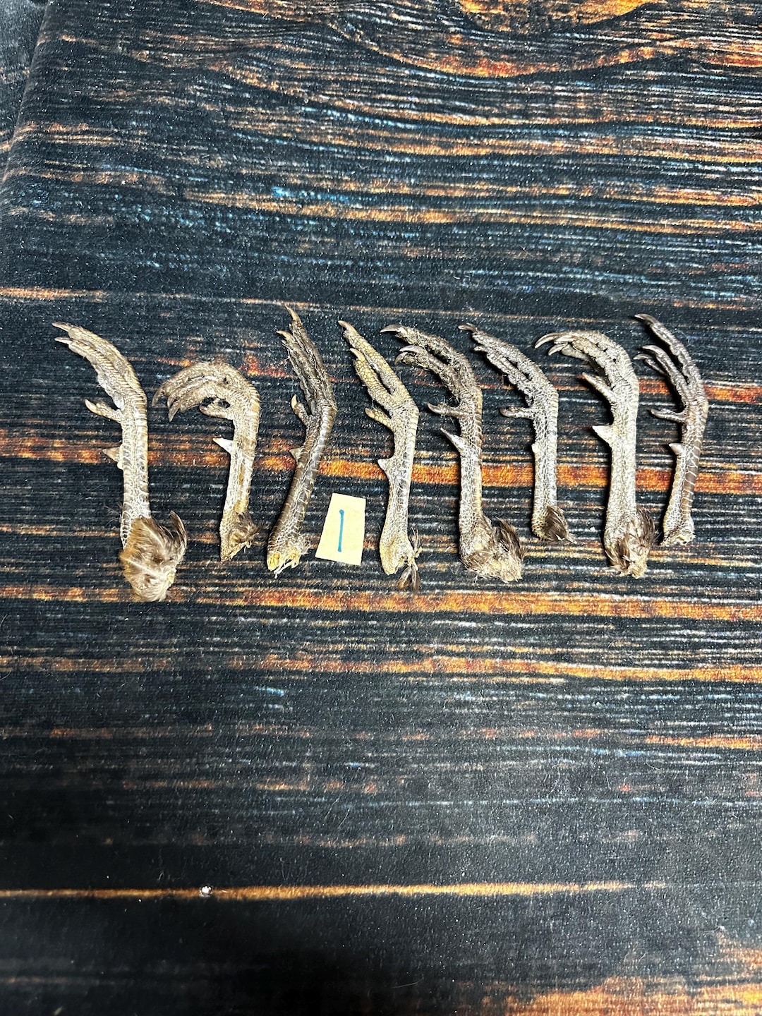 8 Pheasant Feet Art Animal Mount Repair Witchcraft Voodoo Art Supply ...