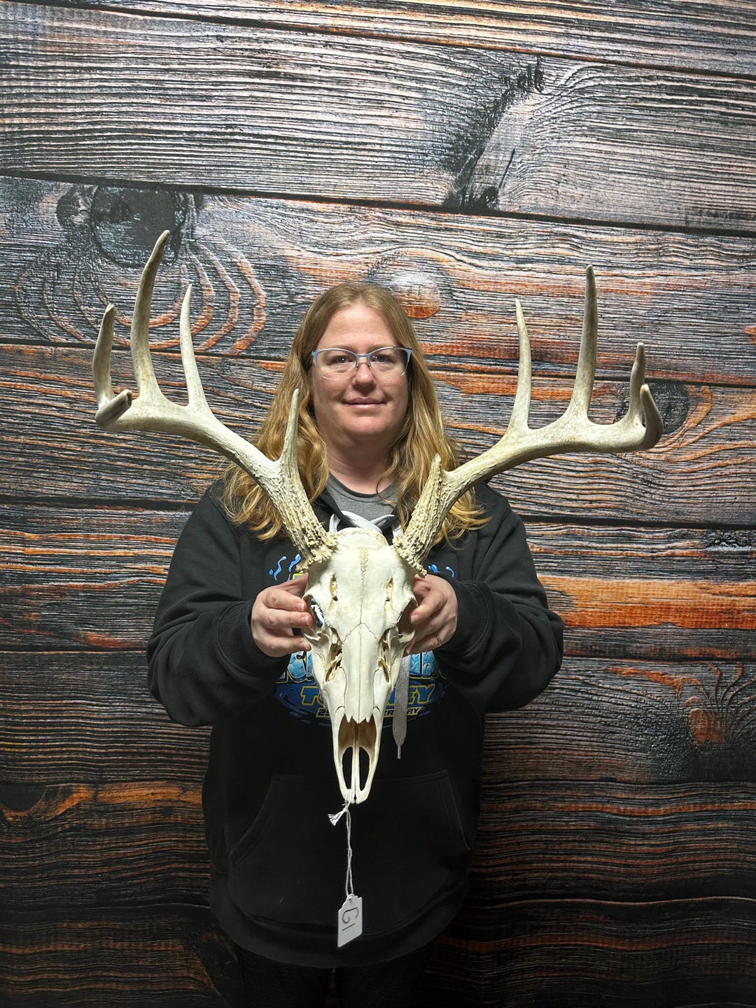 Trophy Wild 10 Point Whitetail Deer Skull Antler Mount Horn Head Unique ...