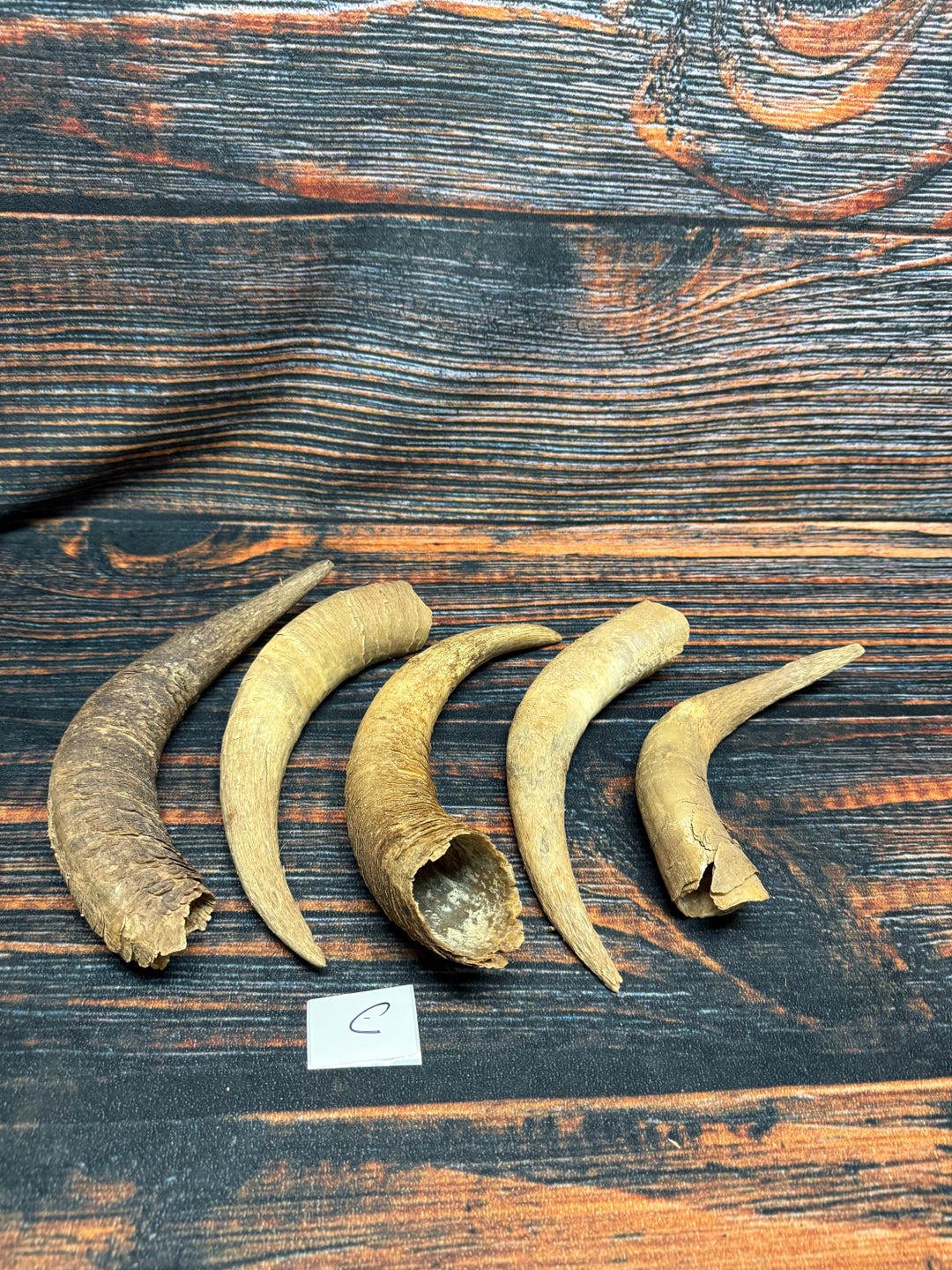 5 Real Bull Cow Longhorn Horn Caps Western Ranch Decor Art Craft ...