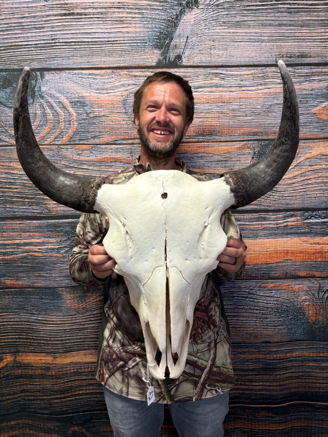 Real American Bison Buffalo Skull Bone Western Yard Decor Art Craft ...