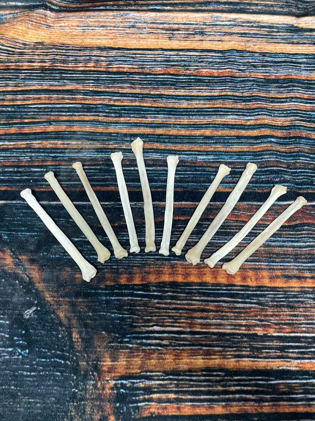 10 Real Red Fox Leg Bones Art Craft Supply Jewelry Earring Gothic ...