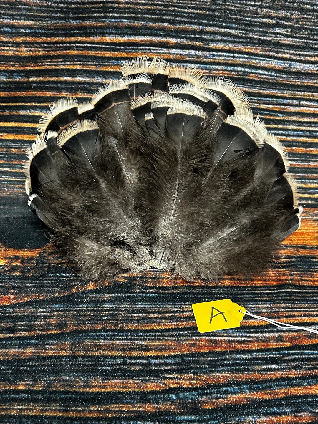 Real Wild Turkey Mini Tail Feather Millinery Bustle Western Decor Art ...