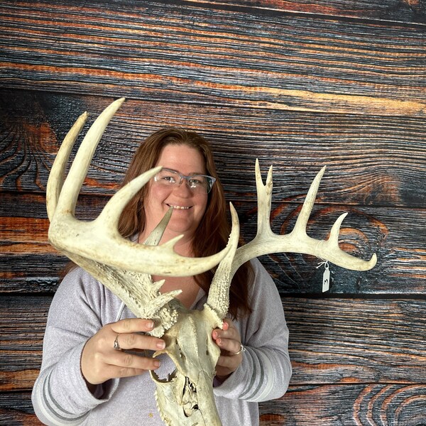 Fake Deer Head - Etsy