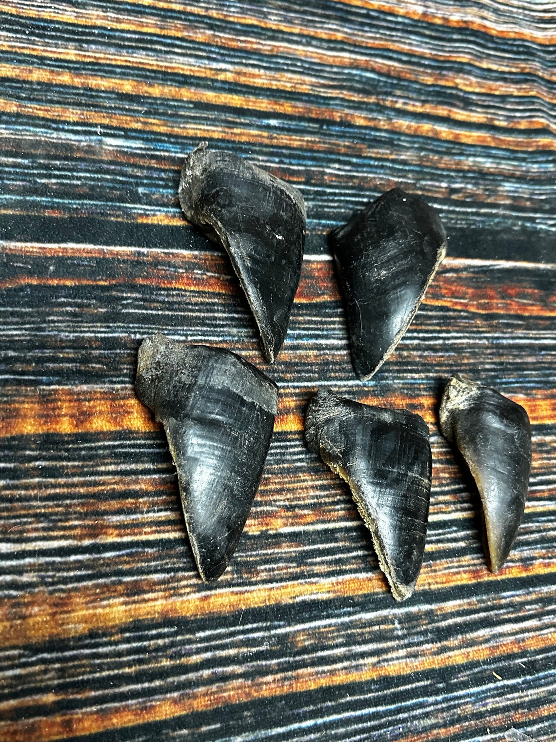 5 Real Elk Hooves Foot Native American Beads Art Craft Supply ...