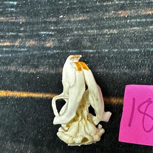 Real XL Pocket Gopher Skull Animal Mount Unique Birthday Gift Art ...