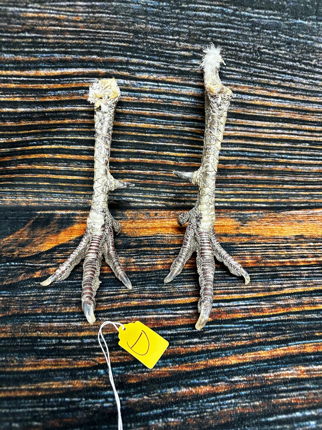 Real Royal Palm Turkey Feet Pair Taxidermy Repair Animal Mount ...
