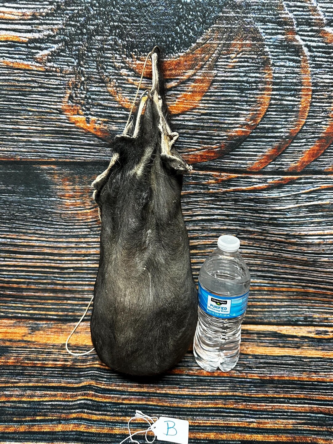 XXXL BULL Scrotum Oddities HUGE Ball Bag Unique Gift Odd Nut Sack Black ...