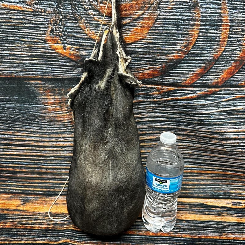 Ballsack Bag - Etsy