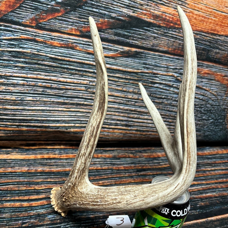 Deer Antler Handle - Etsy