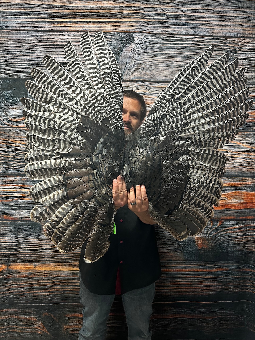 2 Wild Turkey Wings Feathers Plume Millinery Art Fan Bustle Fly Tying ...