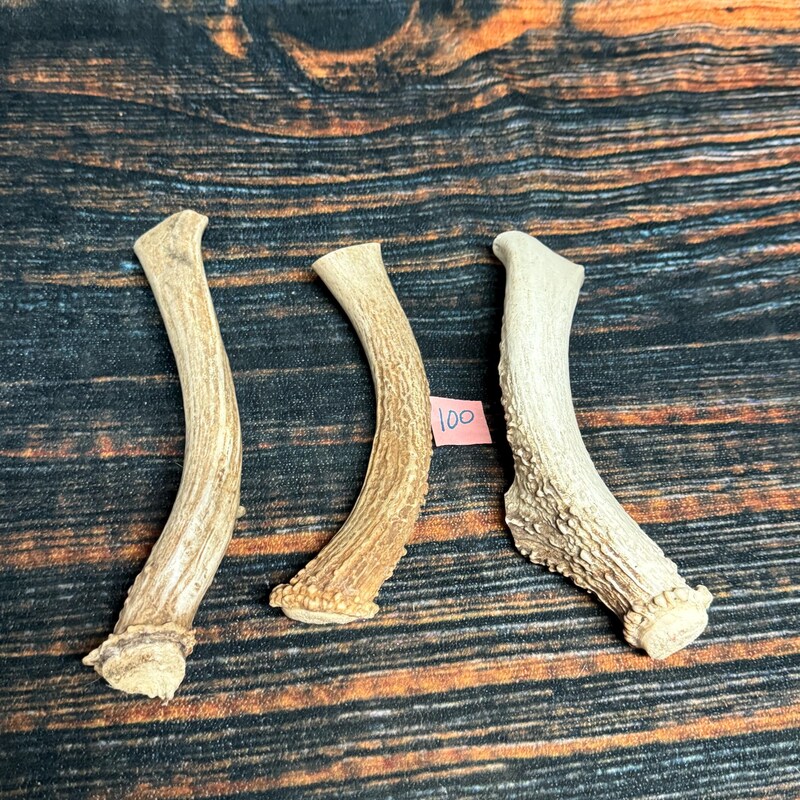 Deer Antler Handle - Etsy