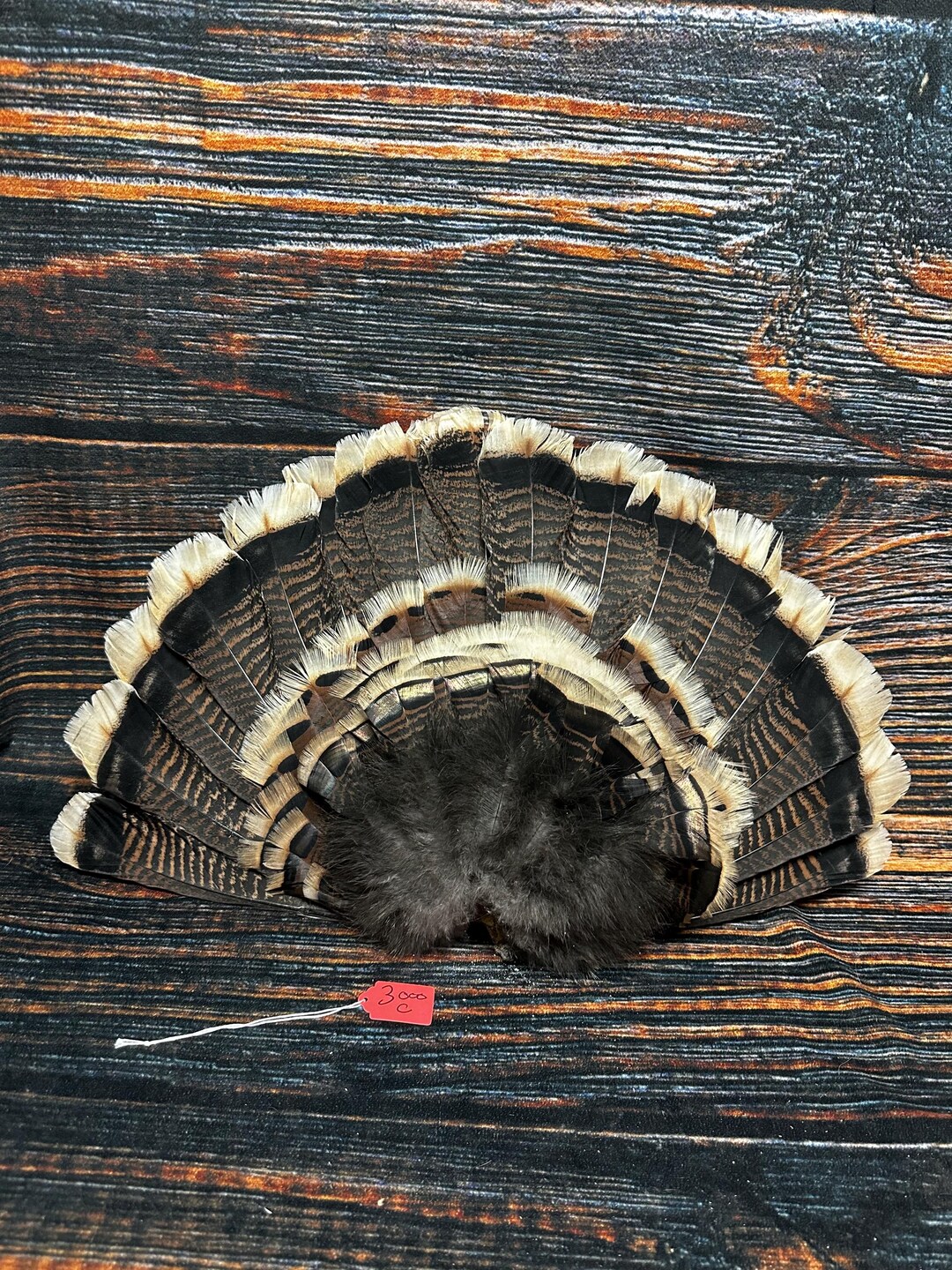 Real Wild Turkey Tail Merriam Feather Millinery Big Hen Decoy Bustle ...