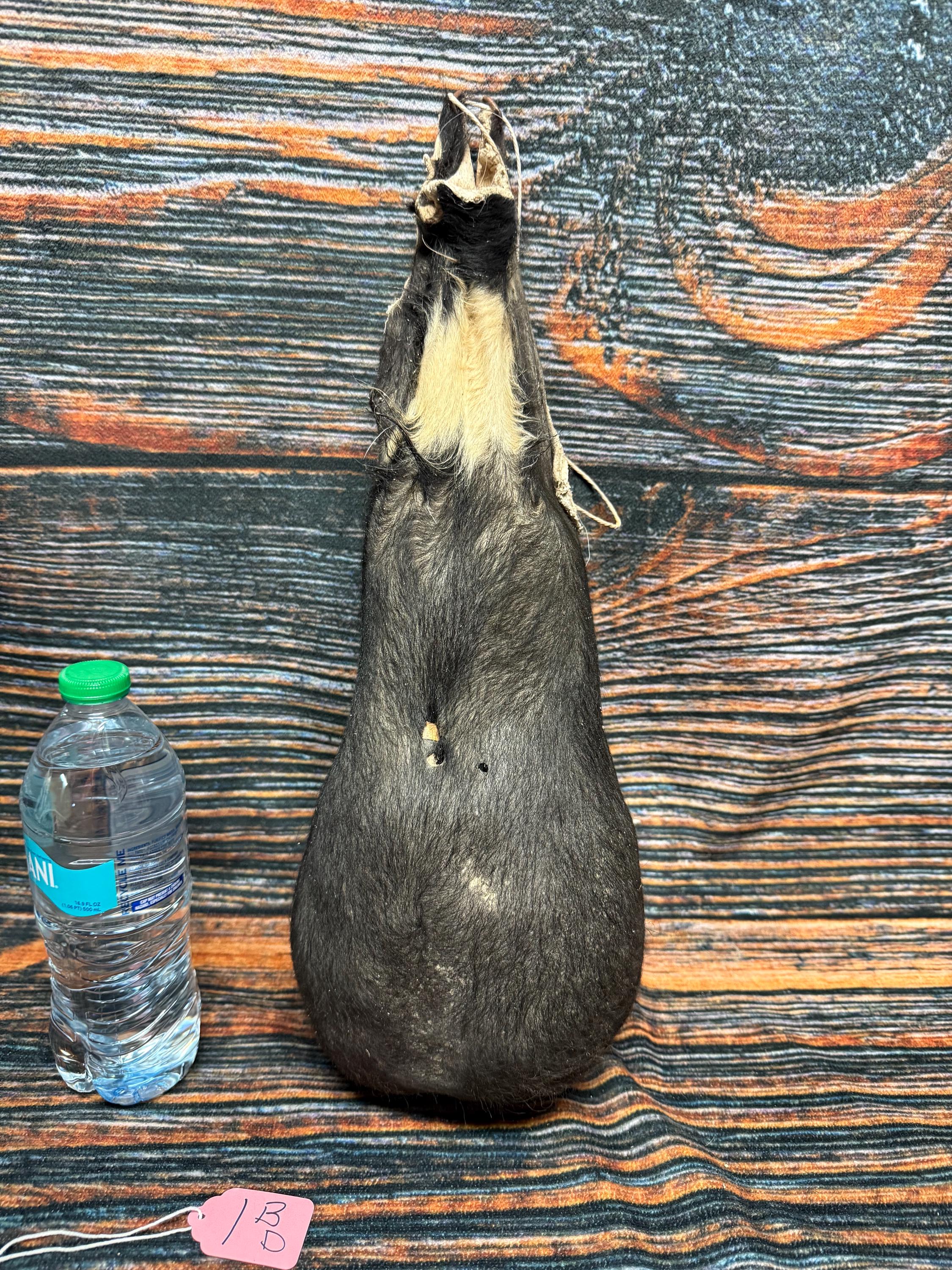 XXXL BULL Scrotum Oddities HUGE Ball Bag Unique Gift Odd Nut Sack Black ...