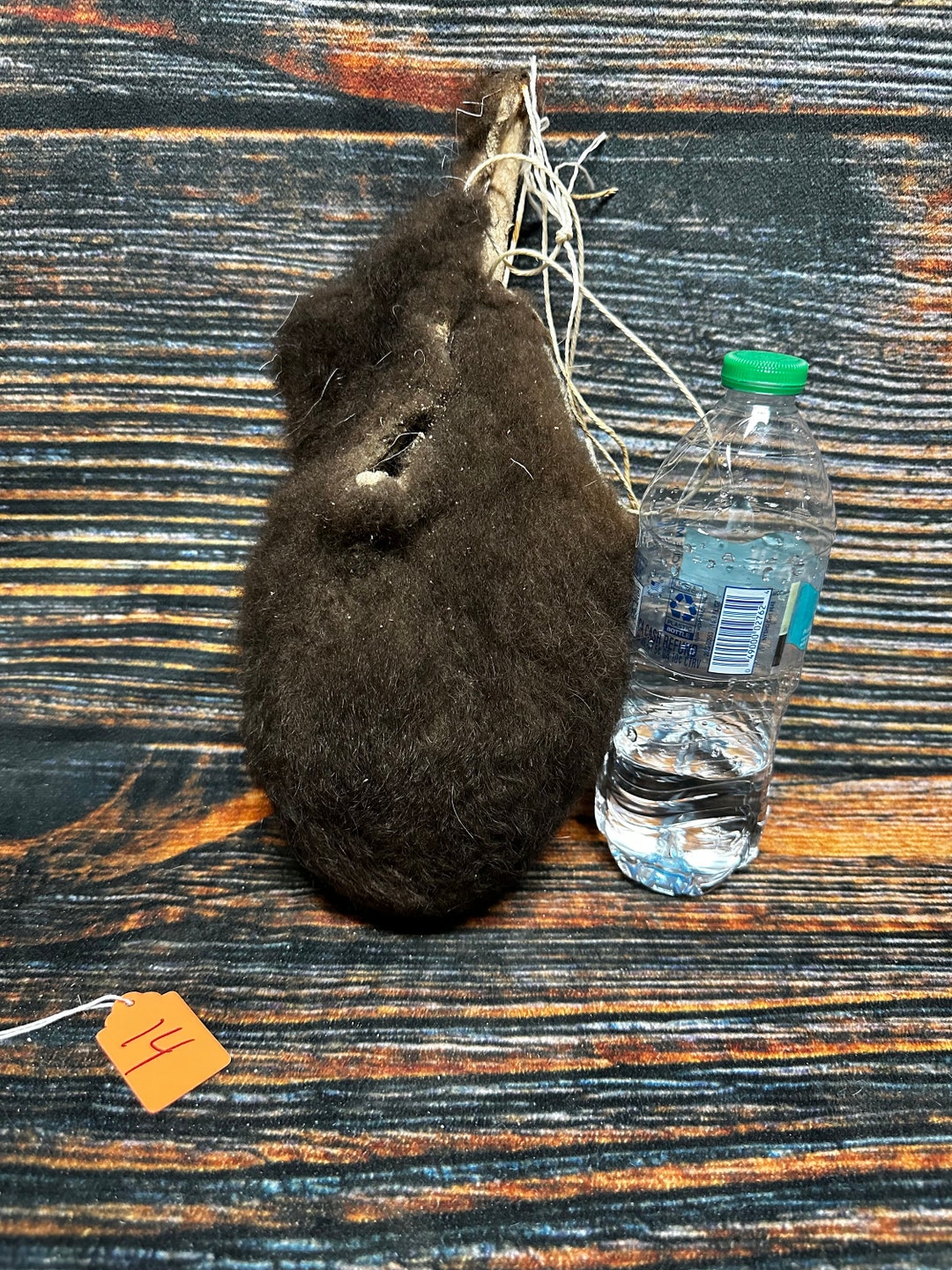 Buffalo Scrotum Real Bison Ball Bag Oddity Nutsack Gag Gift Winter Bag ...