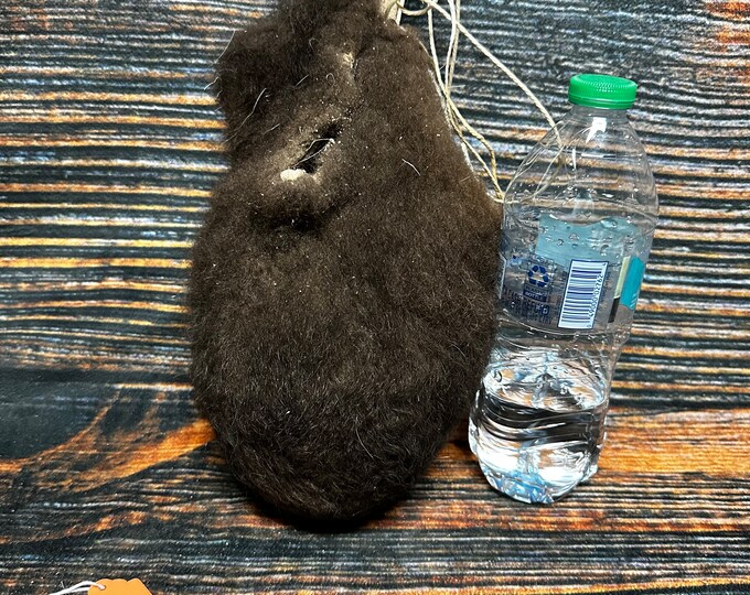 Buffalo Scrotum Real Bison Ball Bag Oddity Nutsack Gag Gift Winter Bag ...