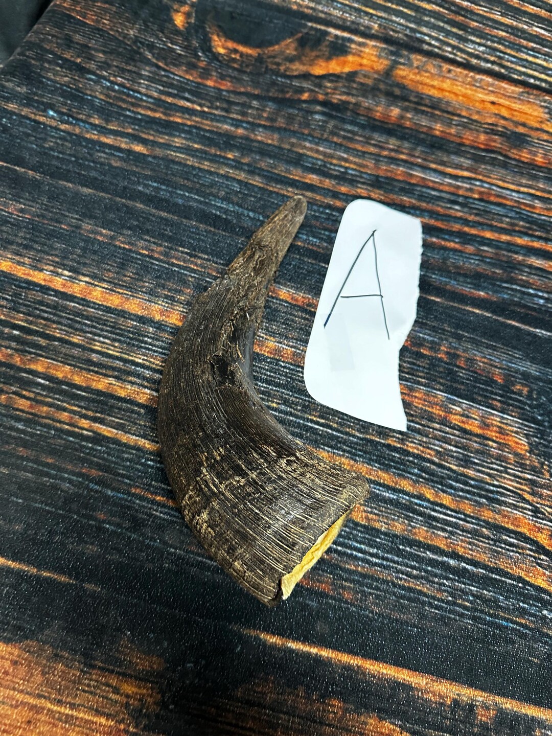 Real American Bison Buffalo Horn Cap Western Yard Decor Art Craft ...