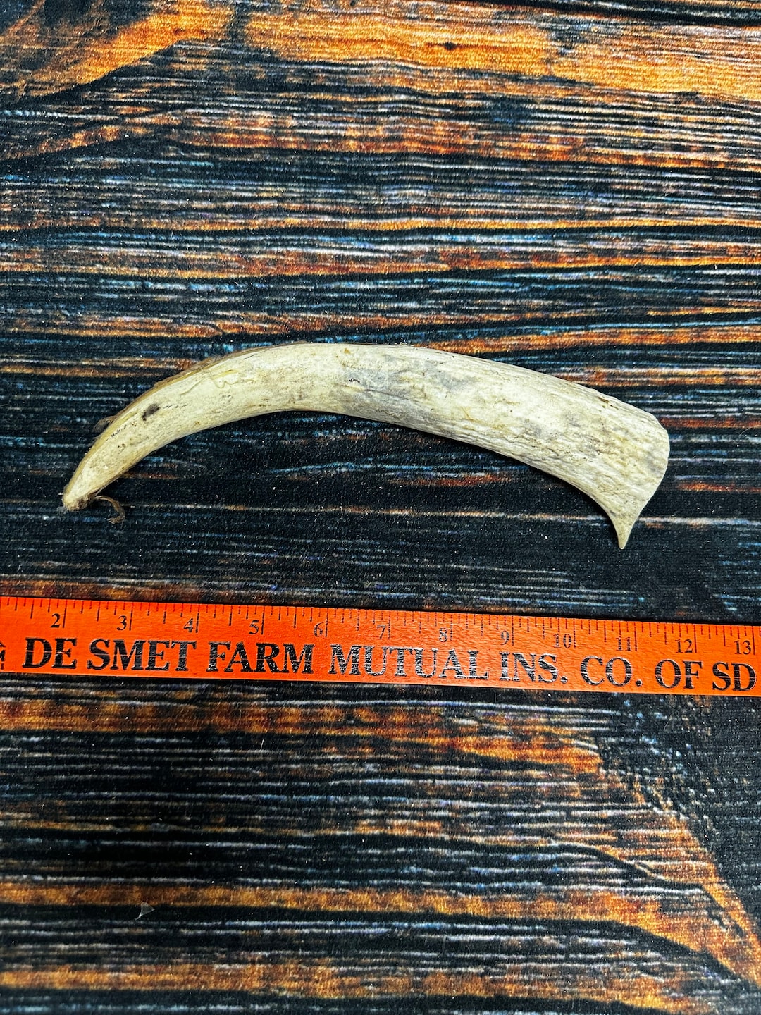 Real Cut Elk Horn Point Shed Antler Dog Chew Pens Knife Handle Forge ...