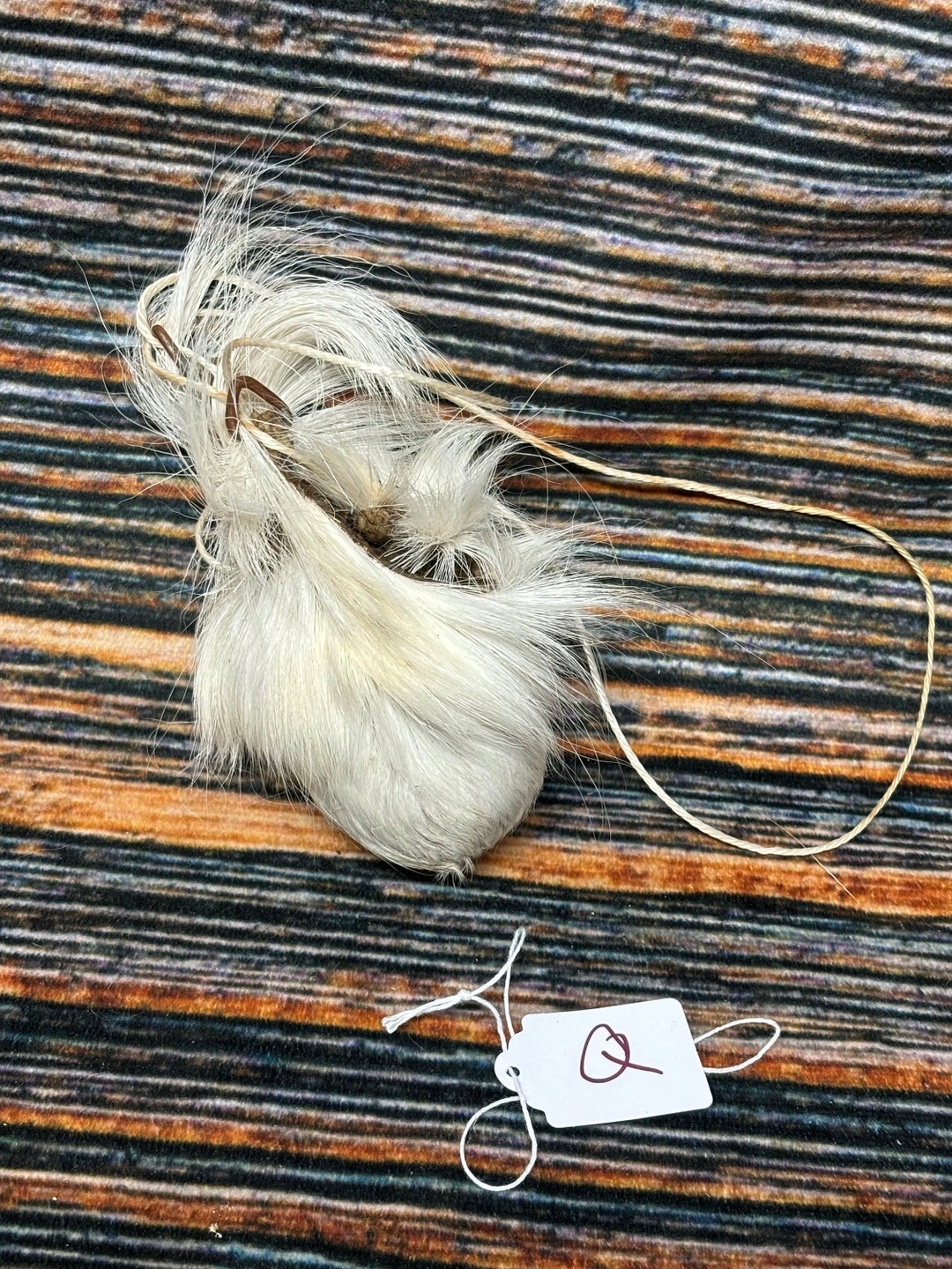 Whitetail Deer Scrotum Real Bison Ball Bag Oddity Nutsack Gag Gift ...
