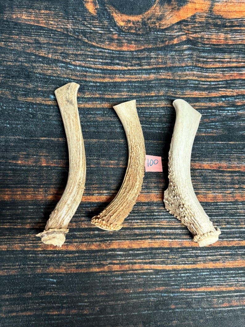 3 Wild Deer Cut Antler W/burs Unique Handle Drawer Man Cave Western ...