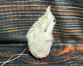 1 Bull Scrotum Bag Real Animal Fur Nut Sack Part Purse Man Cave ...