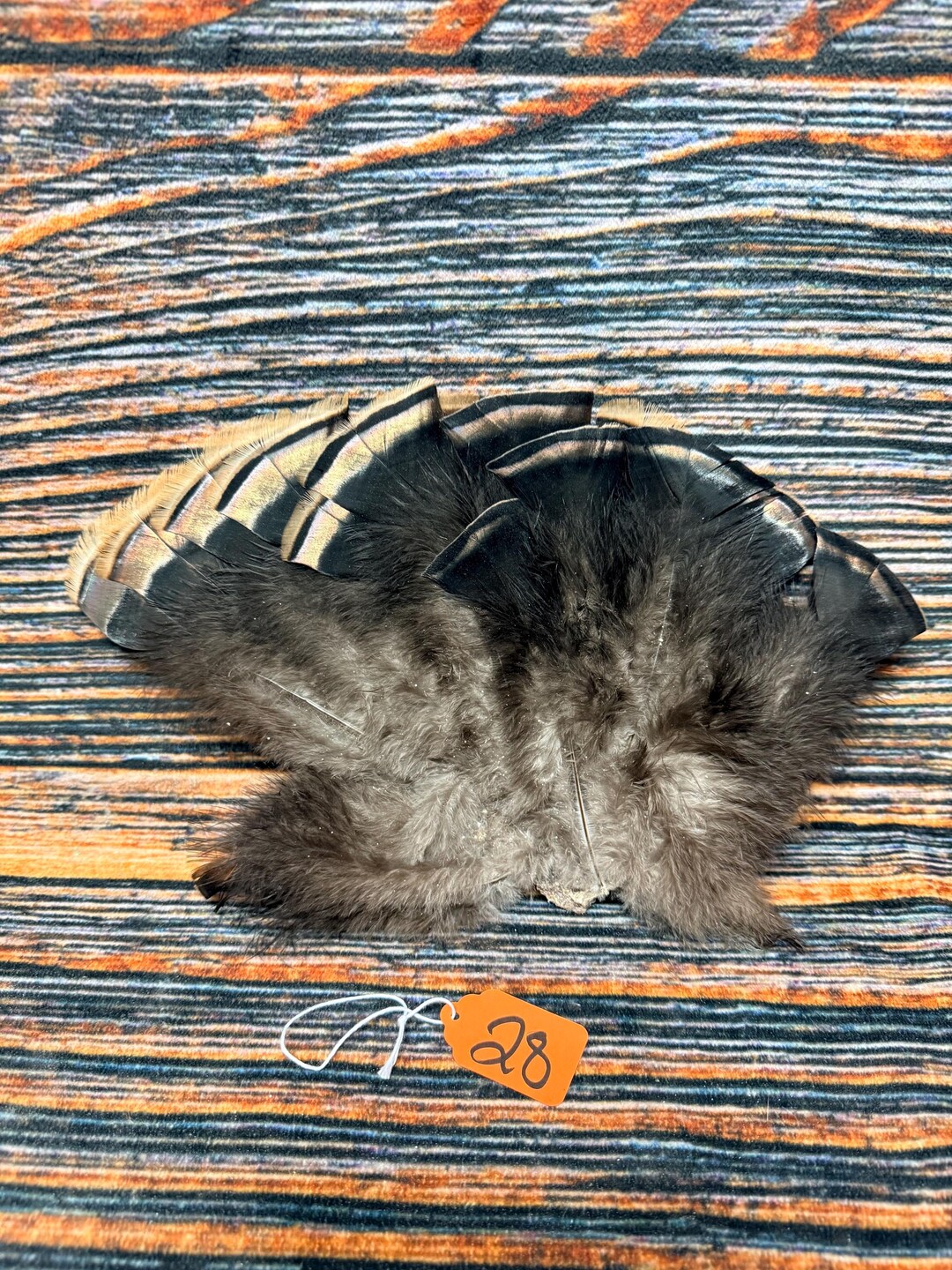 Real Wild Turkey Mini Tail Feather Millinery Bustle Western Decor Art ...