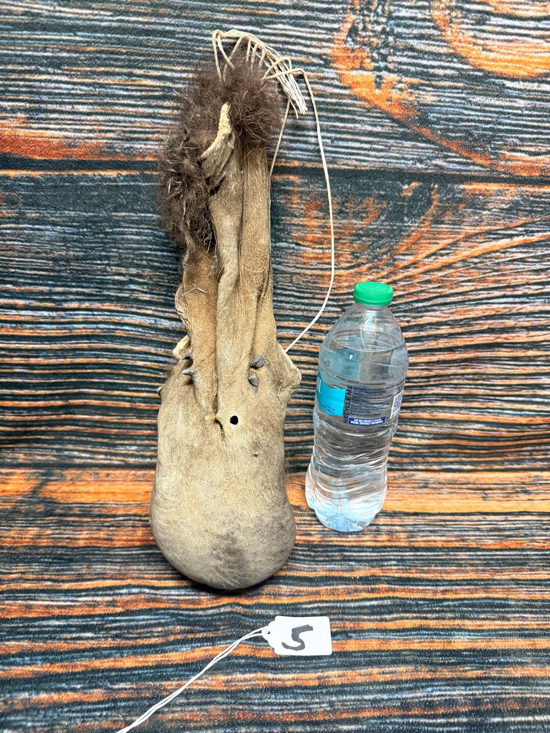 Buffalo Scrotum Real Bison Ball Bag Oddity Nutsack Gag Gift Winter Bag ...