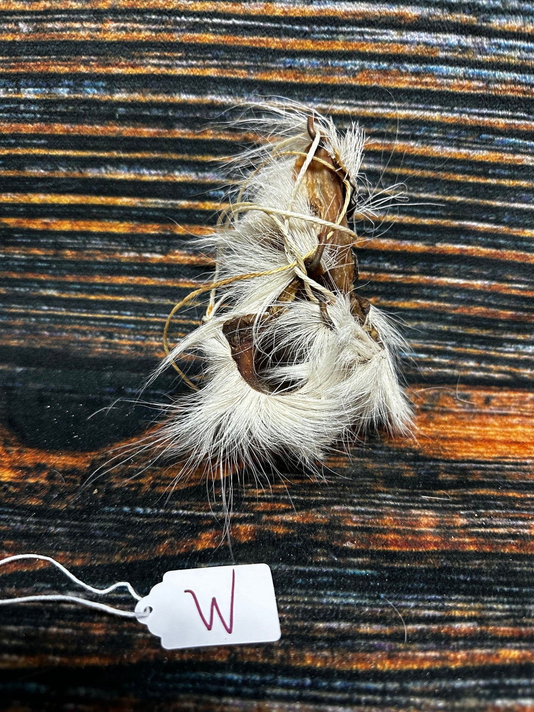 Whitetail Deer Scrotum Real Bison Ball Bag Oddity Nutsack Gag Gift ...