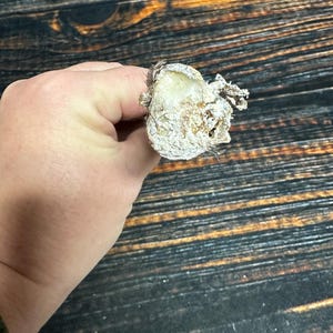 Real Wild Turkey Foot Taxidermy Mount Art Feet Voodoo Unique Christmas ...