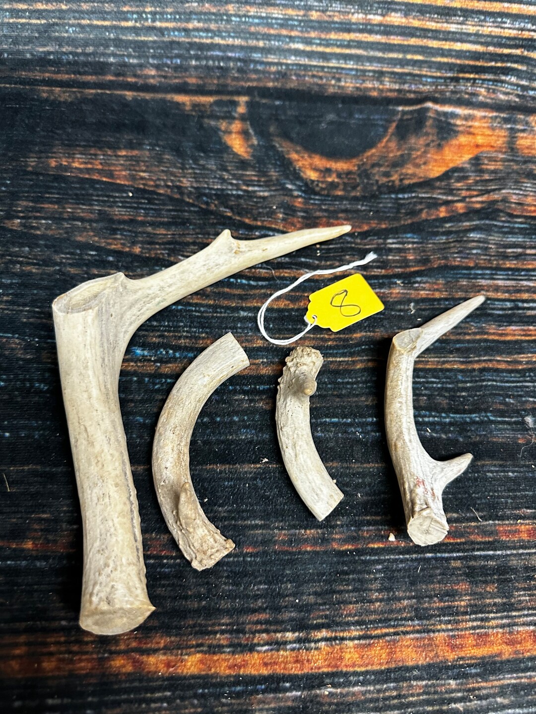 4 Wild Whitetail Deer Cut Antler Unique Handle Drawer Man Cave Medieval ...