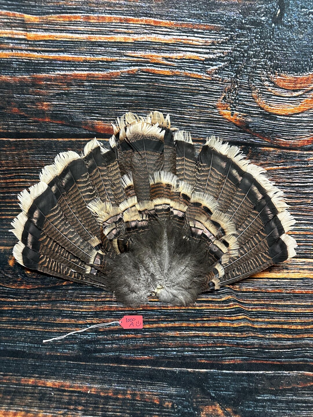 Real Wild Turkey Tail Merriam Feather Millinery Big Hen Decoy Bustle ...