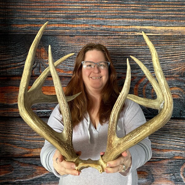 Antler Rack - Etsy