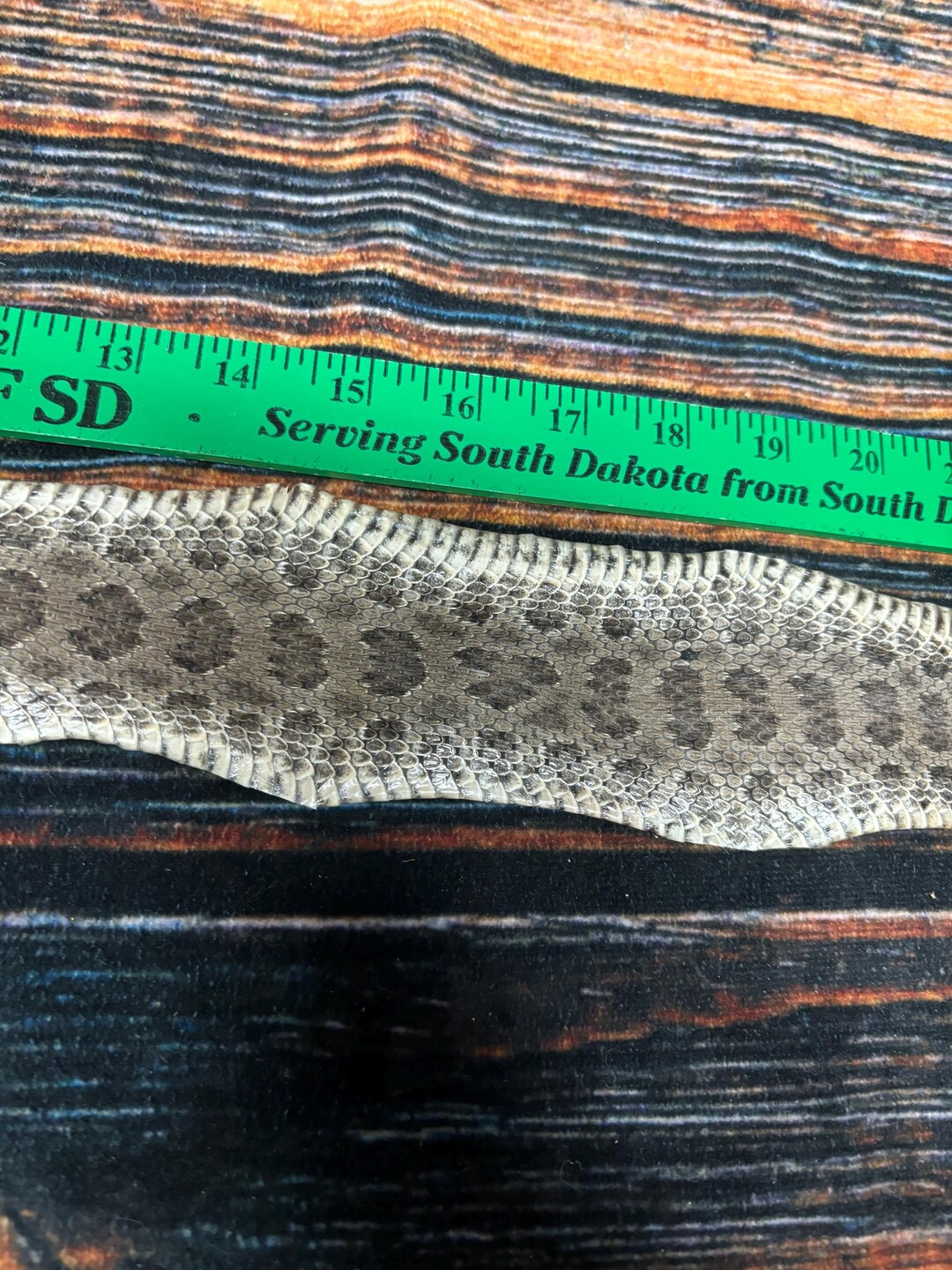 REAL Rattlesnake Skin Prairie Rattler Hide Dry Tanned Bow Wrap Blank ...