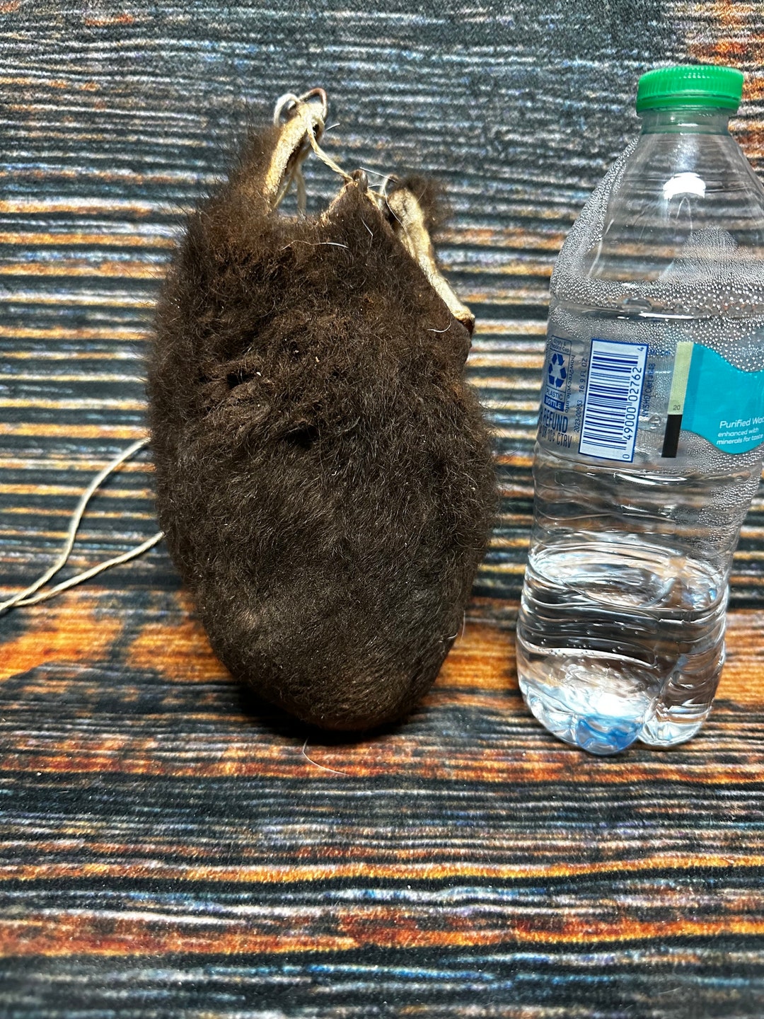 Buffalo Scrotum Real Bison Ball Bag Oddity Nutsack Gag Gift Winter Bag ...