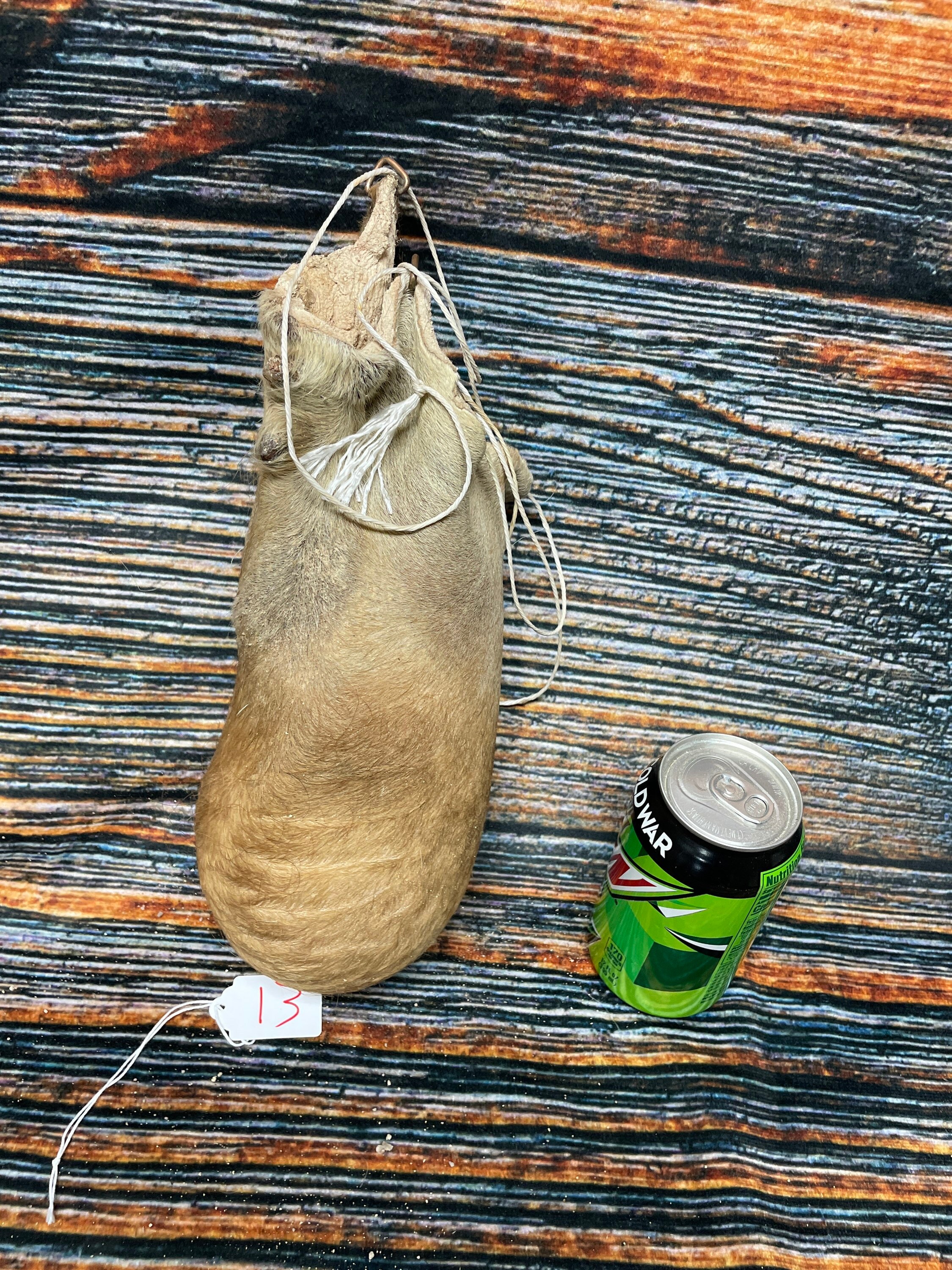 XXXL BULL scrotum Oddities HUGE ball bag Unique gift Odd Nut | Etsy